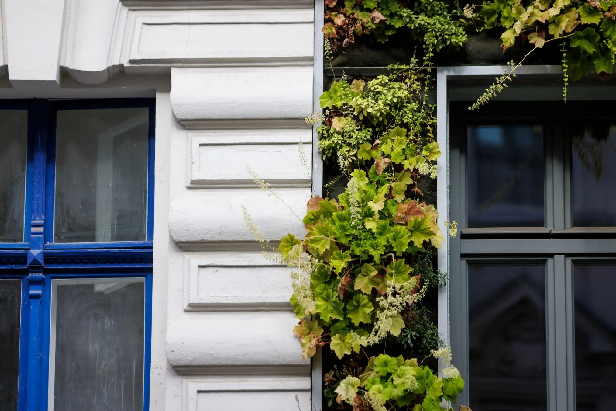 下一波冷卻革命 用新科技與自然方式為毒辣夏日降溫 - TVBS ESG專區