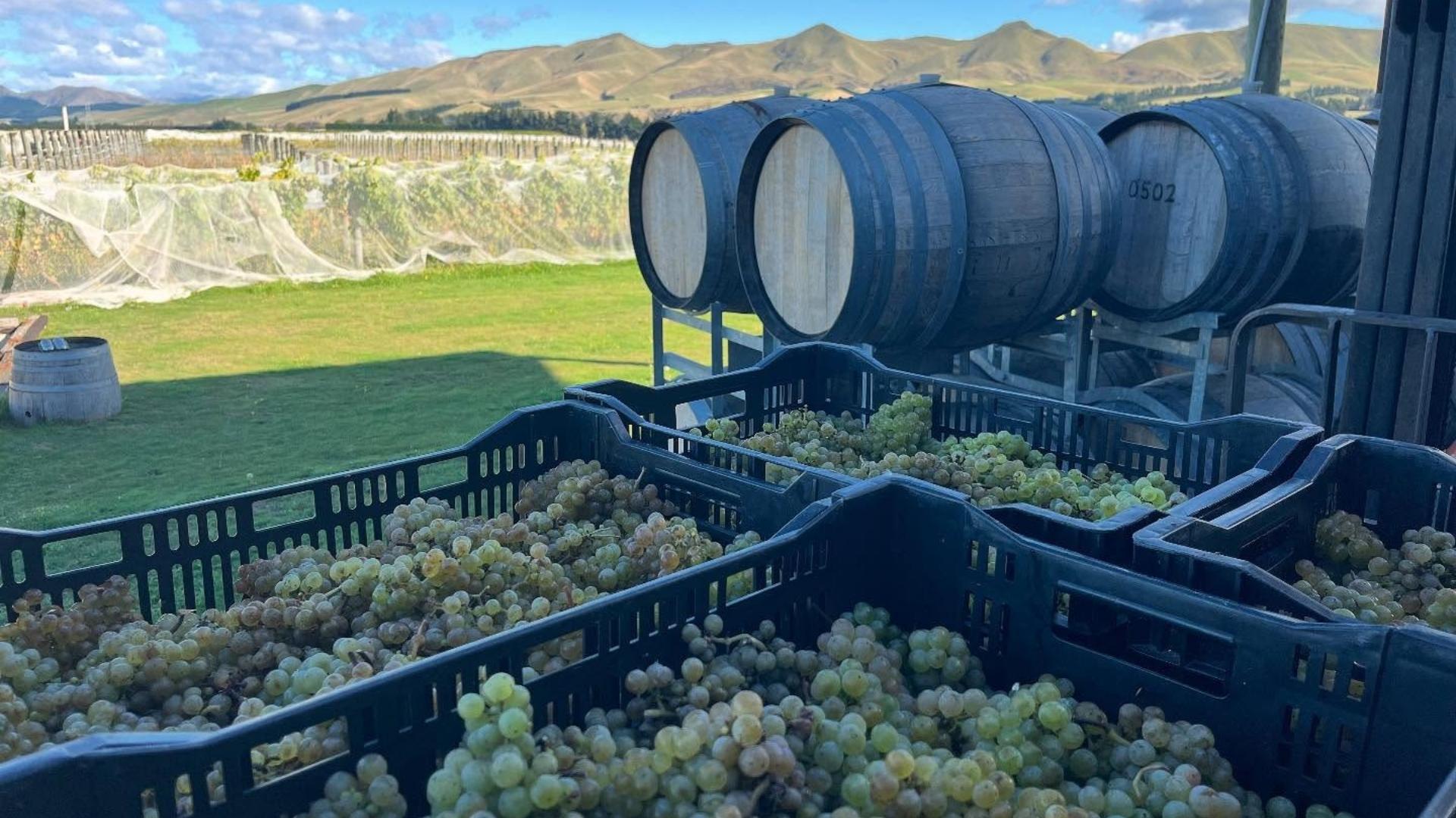 永續觀點 - TVBS ESG專區